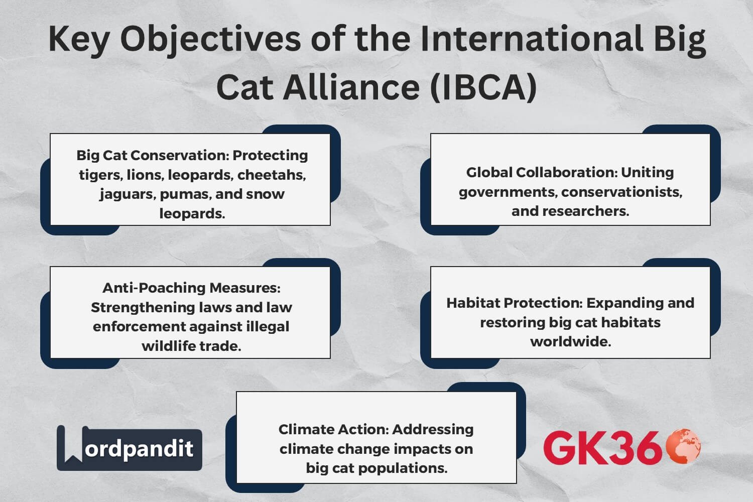 International Big Cat Alliance (IBCA): A Global Initiative for Big Cat ...